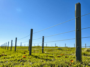 The Best Ways to Mark Your Property Boundaries – Westward Land