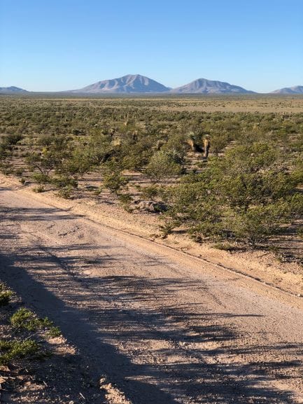 Build, Camp, Hunt – Wide Open Texas Property for You – Westward Land