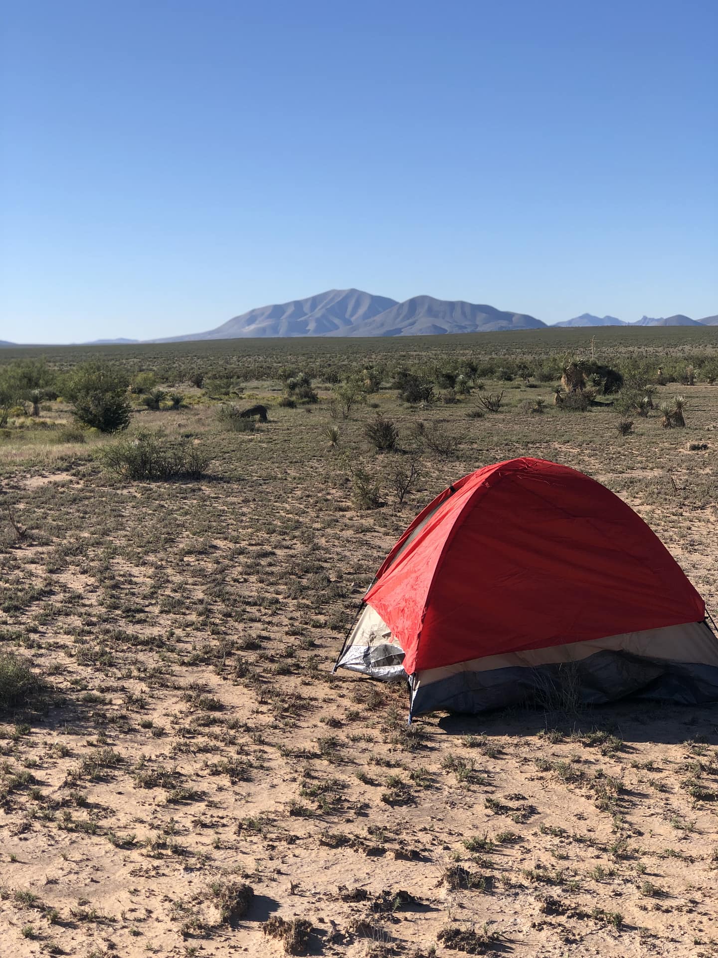 Build, Camp, Hunt – Wide Open Texas Property for You – Westward Land
